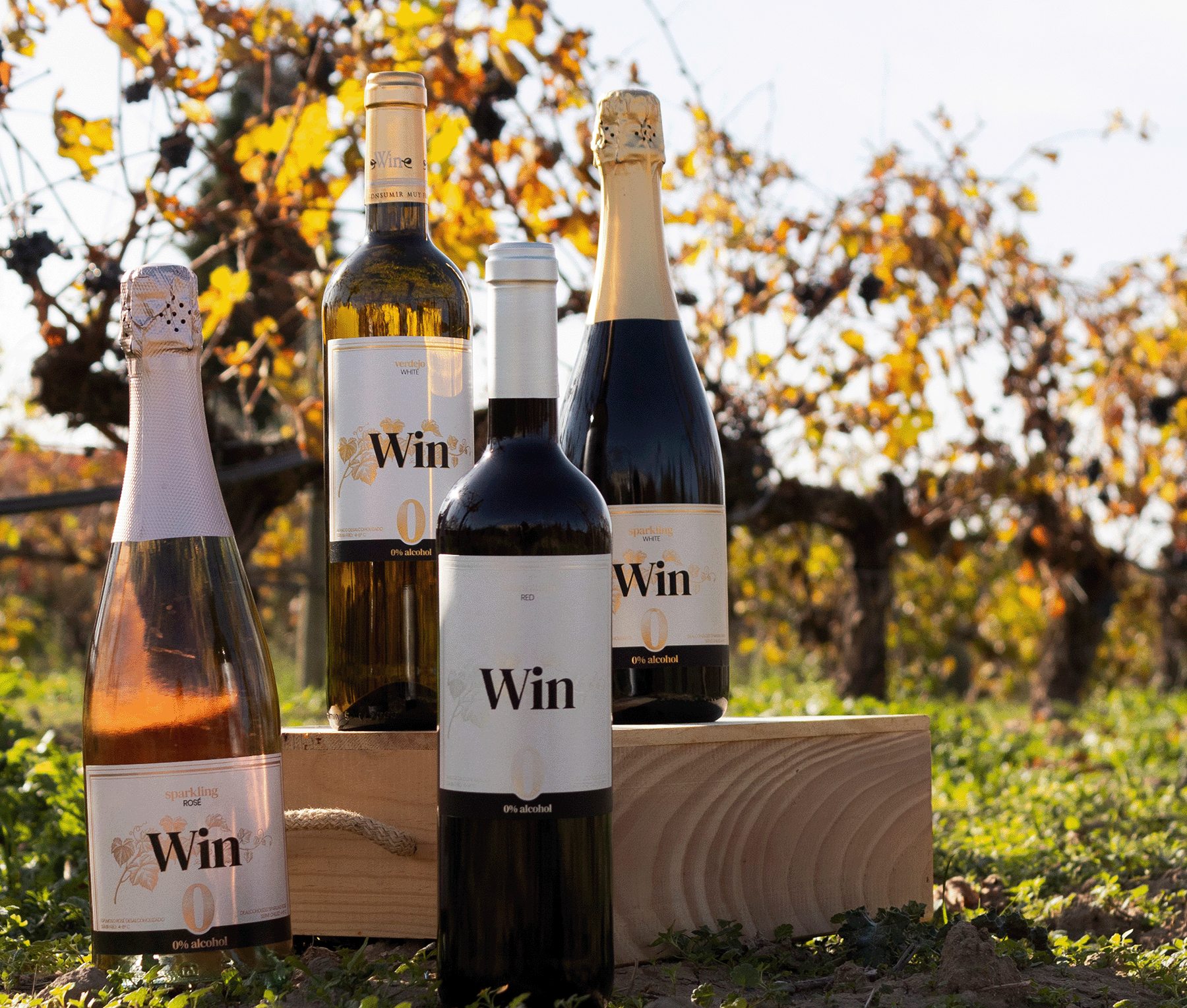 Bodega Win Sin Alcohol colabora en Hexagon Cup - Bodega Win - Vino Sin ...